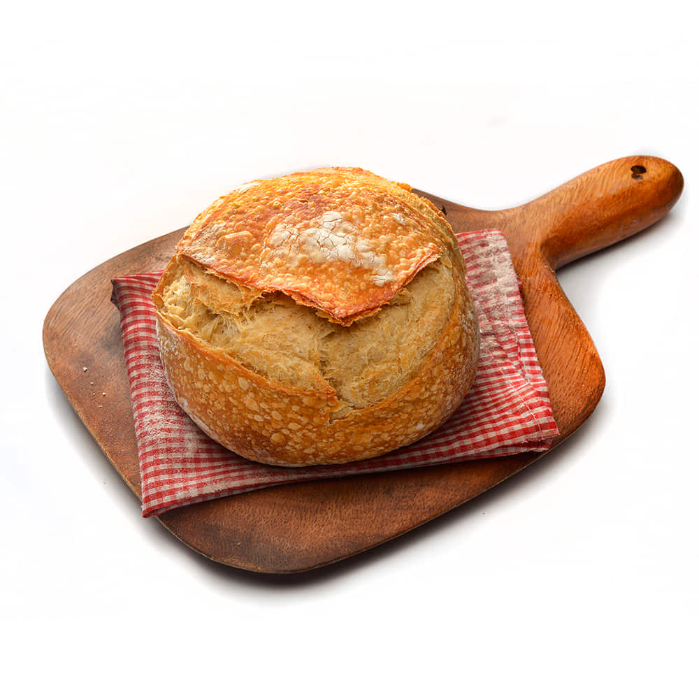 Pan tipo Italiano x un. - Géant