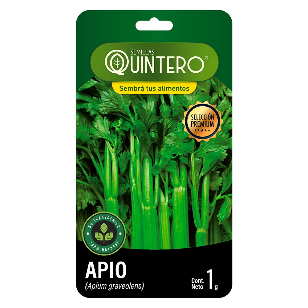Sobre de semillas de apio QUINTERO 1 g - Géant