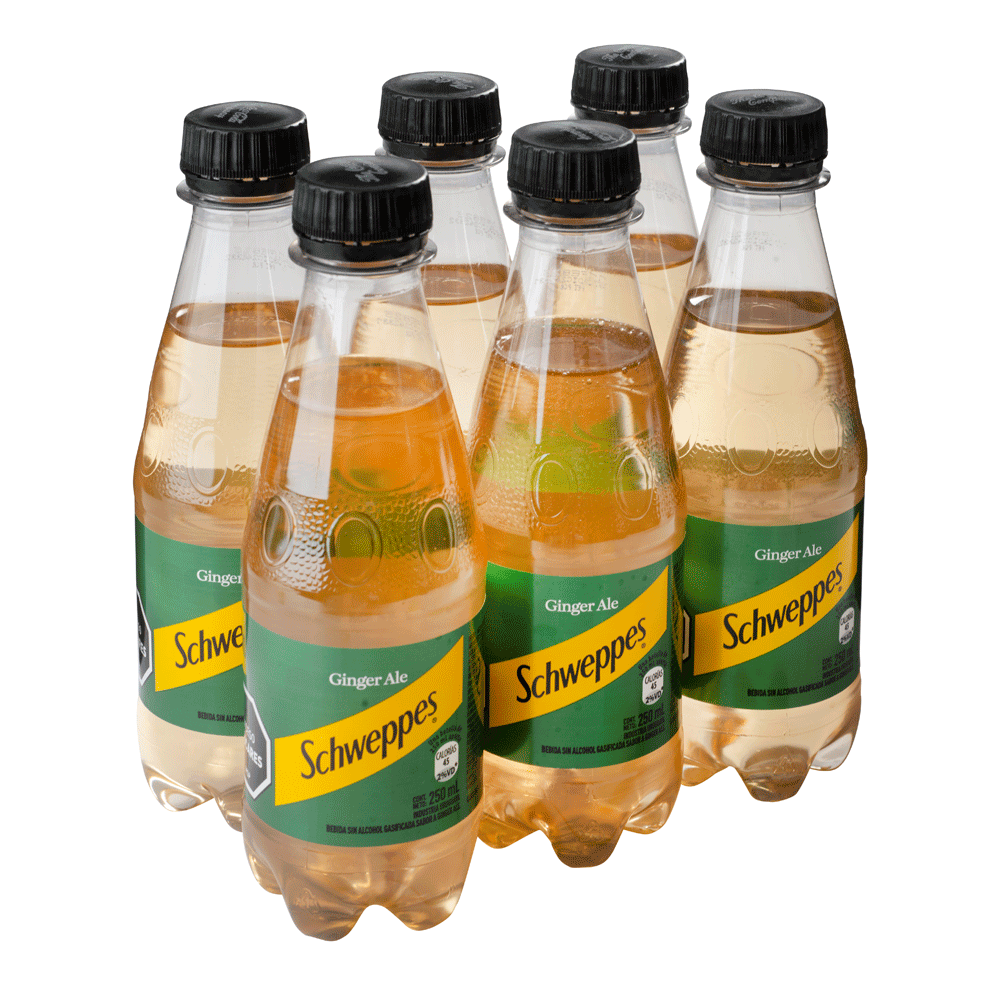Refresco SCHWEPPES Ginger Ale 250 ml - Géant