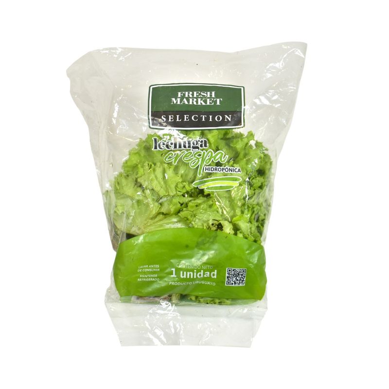 Lechuga Crespa Hidropónica FRESH MARKET - Géant